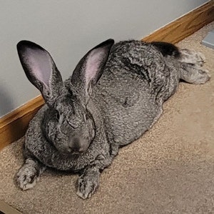 Hobbit Hole Rabbit Playhouse Bunny Play Structure With Some Magic From ...