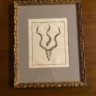 Mid-century Modern Picture Frames Stained Wood Neutral Organic Unique ...