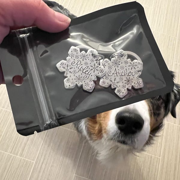 Snowflake Dog Tag - Winter Dog Tag - Dog Collar Tag - Pet Tag - Hand ...