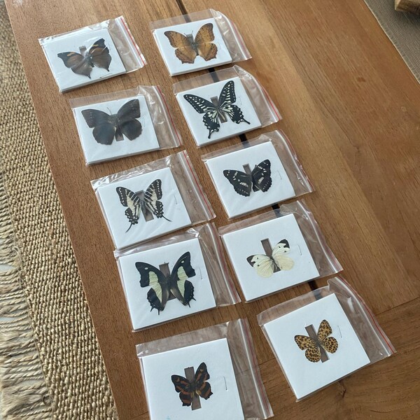 Exquisite Real Bone Splicing Painting DIY Specimen Creative Horror Bone ...