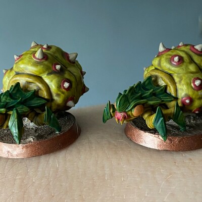 Turtle Cleric by Goons Dnd Dungeon and Dragon Mini Tabletop - Etsy UK