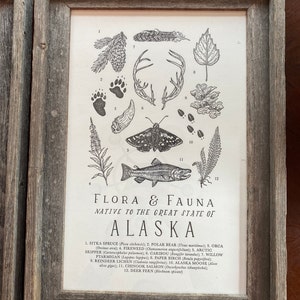 New Hampshire Wildlife Field Guide Print NH Outdoors Flora - Etsy