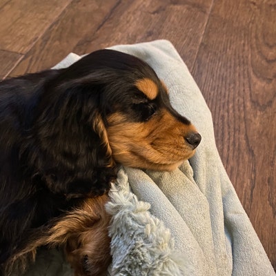 Mint/sage Green Faux Fur Backed Suede SNUGGLE SACK - Etsy