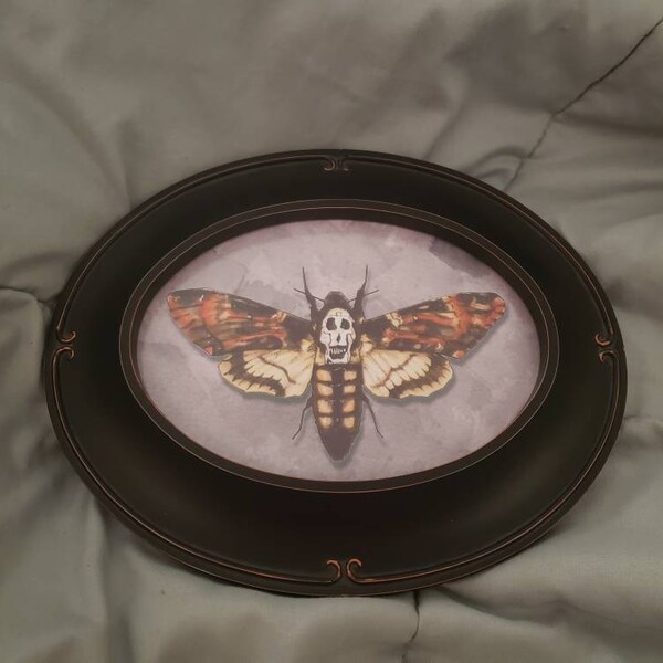 Silence of the Lambs Death Head Moth Hannibal Framed Art Print by ...