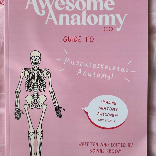 Anatomy and Physiology Notes, Bone Structure and Remodelling, Anatomy ...