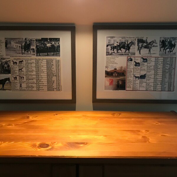 Race Horse Somethingroyal Picture Pedigree 8.5 X 11 Dam of Secretariat ...