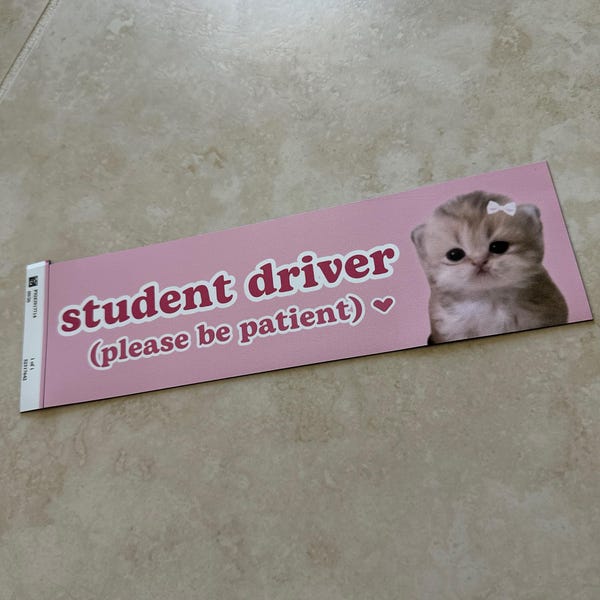 This is Who You're Honking at | Cat Meme Car Bumper Sticker OR Magnet ...