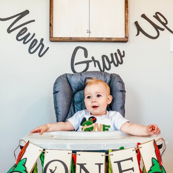 Never Grow up Banner, Never Grow up Birthday Banner, Never Grow Up ...