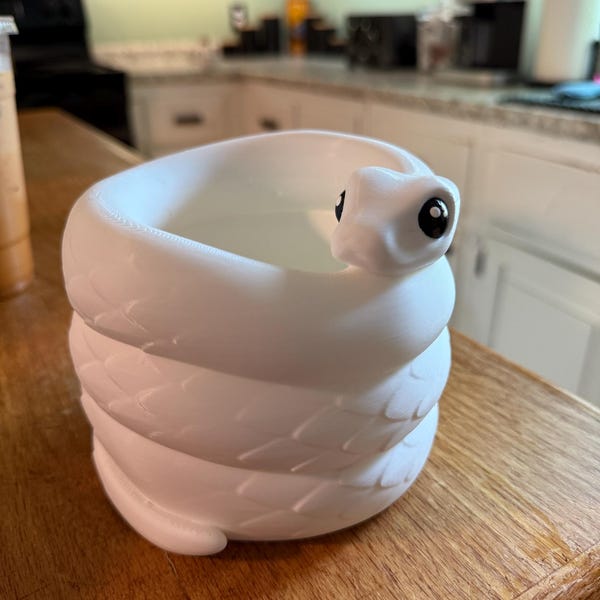 Snake Planter - Snake Plant Pot With Drainage - Cute Snake Planter ...