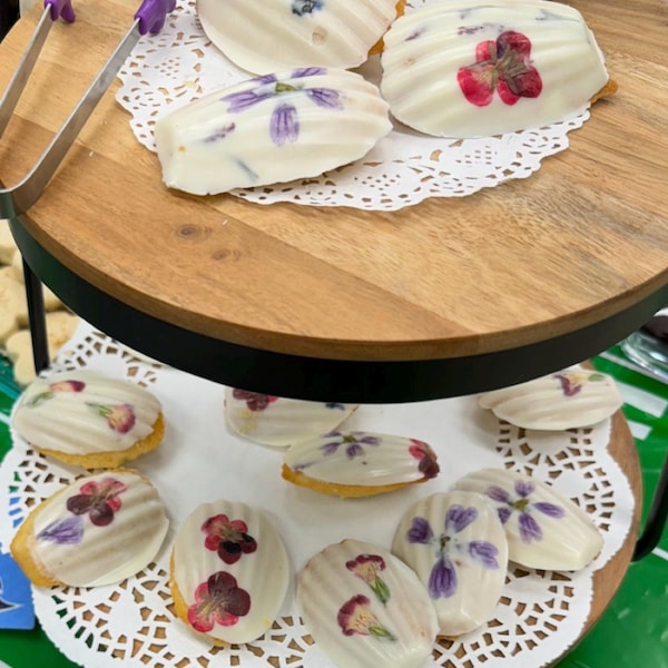 White Ruscus Branches, Premium Bleached Italian Ruscus, Dried DIY ...