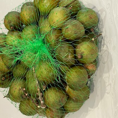 5 Rollinia Deliciosa Seeds Biriba Rollinia Mucosa Rare Tropical Fruit ...