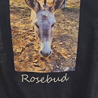 Star of David Sweatshirt, Star of David Hoodie, Judaism Shirt, Jewish ...