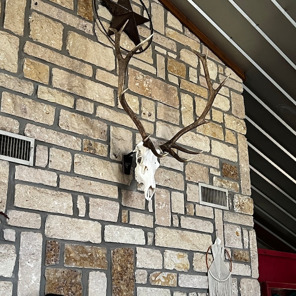 European Elk Skull Mount Bracket. Lazer Engraved Cover Plate Options - Etsy