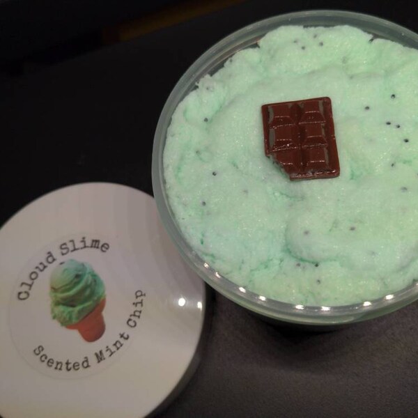 Mint Chip Cloud Slime Scented W/charm Plus FREE Slime & Extras Instant ...