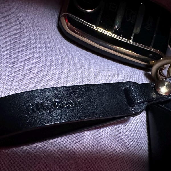 Blue mango Fob Case Practical and Stylish Key Organizer for ...