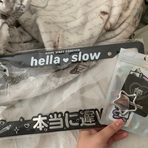 Hella Slow License Plate Frame | Chrome - Etsy