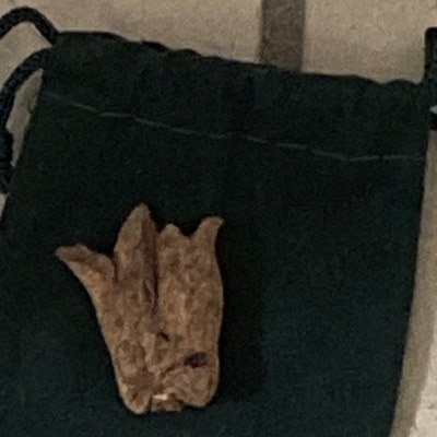 Lucky Hand Root With Mojo Bag - Etsy