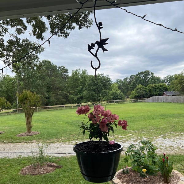 Sun Face Wall Hanging Cast Iron - Etsy