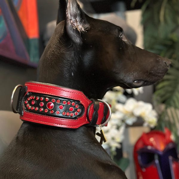 Extreme Collars Handmade Dog Collars Personalized Collars Dog Gift ...