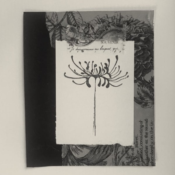 Japanese Lily Rubber Stamp for Handmade Cards, Asian Flower Stamp, Wild ...