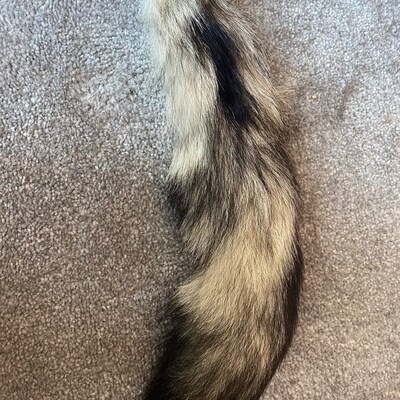 Eco Friendly Kit Fox Tails - Etsy