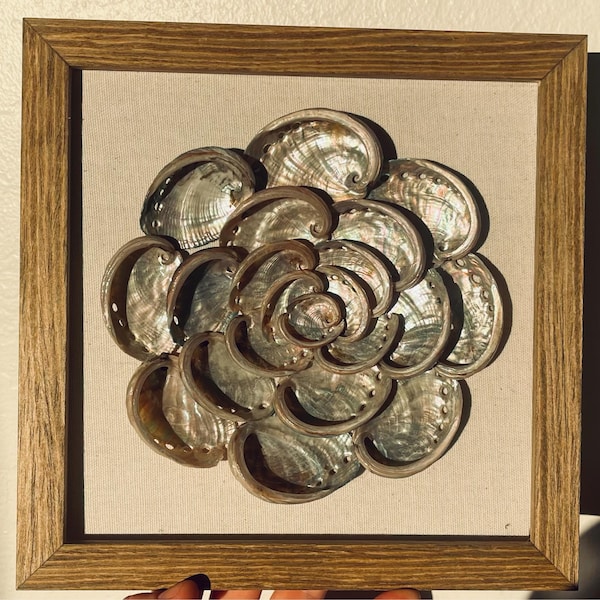 Red Abalone Art, Shell Wall Art, 3D Shell Art, Coastal Shell Art ...