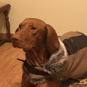 Sundance Shearling Dog Jacket so Boho Chic in Black - Etsy