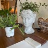 Personalized Greek Goddess Head Planter: Cement Woman Bust Face Pot ...