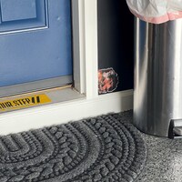 Birds and Tree Branch Wall Decal Set, Floral Harvest Pattern - Etsy