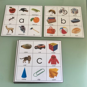 Montessori Pink Phonetic Language Series Bundle PHOTOS Primary Phonics ...