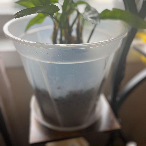 High Quality Clear Transparent Plant Pots With Good Drainage Planter ...