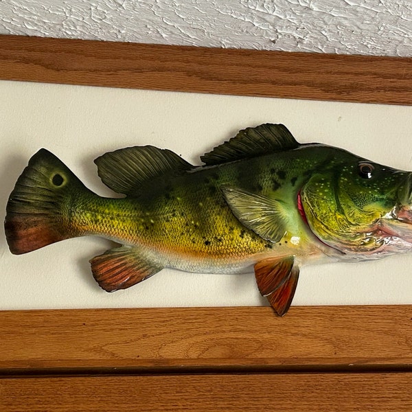 Tuna, Yellow Fin - Fish Mount - Fiberglass Taxidermy Replica - Half ...