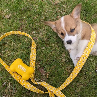 Glitter Bumble Leash, Bee Dog Leash, Pet Leash, Yellow Leash, 6 FT ...