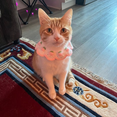 Cat Bow Kawaii Cat Bowtie Flower Pet Bow Kitten Crochet - Etsy