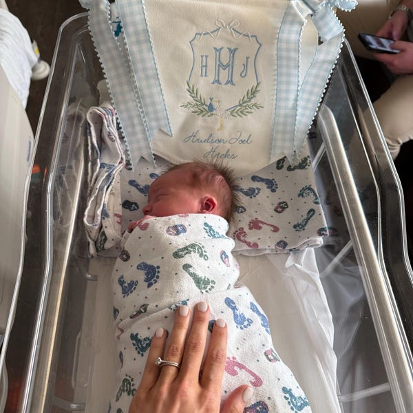 Custom Stork Baby Hospital Banner | Embroidered Birth Announcement ...