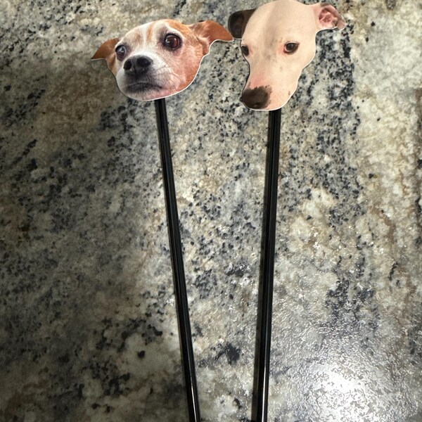 Drink Stirrers Personalized With Dog Face, Pet Birthday Stir Sticks ...