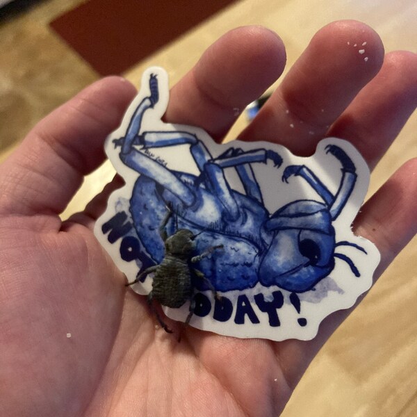 Isopod Bookmark - Block Print, Each One is Unique! - Etsy