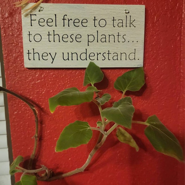 Wooden Engraved Sign - Feel Free to Talk to These Plants...they ...