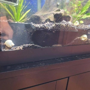 4 in 1 Aquarium and Terrarium Cave, 3 Sizes - Etsy