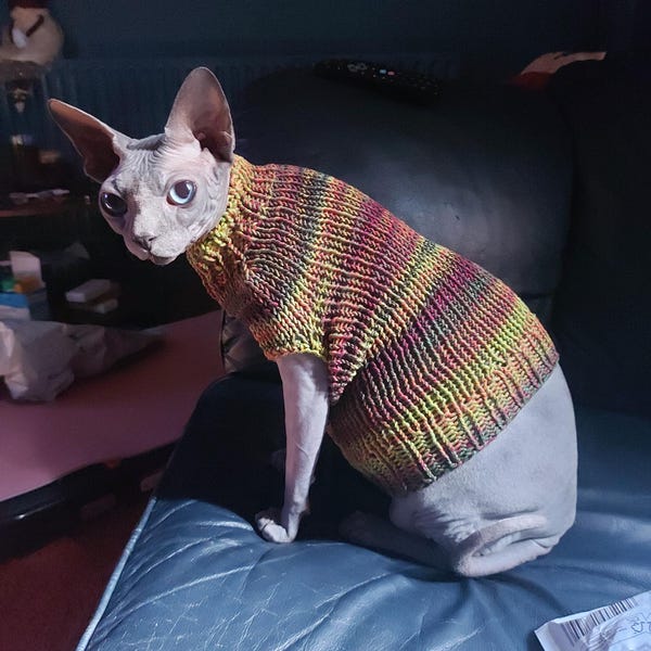Cat Clothes, Sphynx Clothes, Clothes for Sphynx, Sphynx Sweater ...