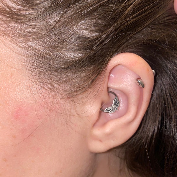 16G Death's Head Moth Captive Bead Ring - Septum, Daith, Helix & Conch ...