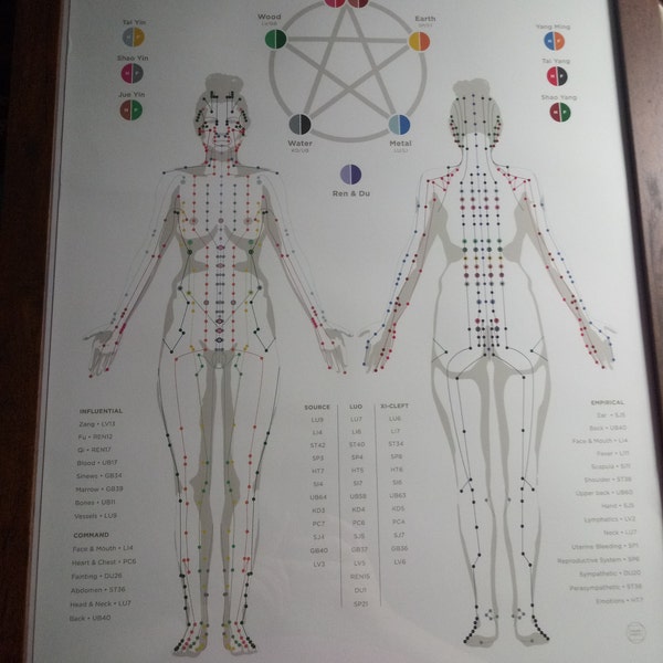 Acupuncture Meridian Channel Wall Art 25" X 36" • Chinese Medicine ...