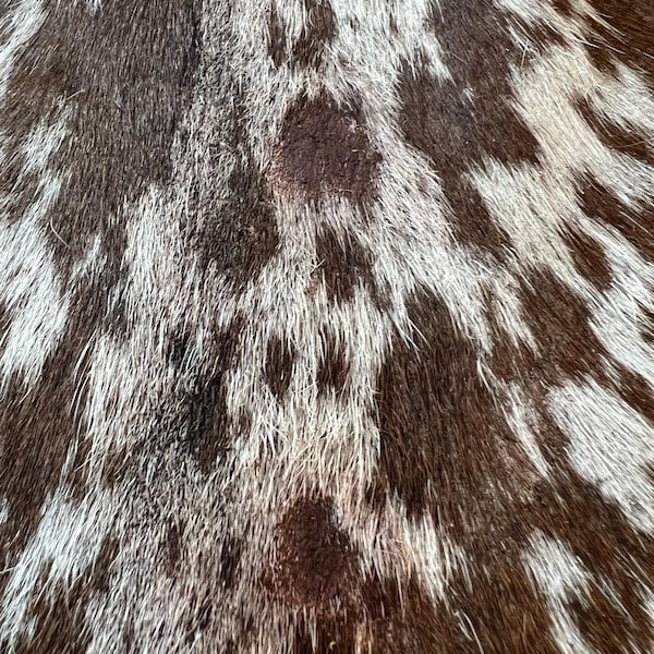 Black & White Cowhide Rug Hair on Cowhide Rug Modern Cowhide Rug ...