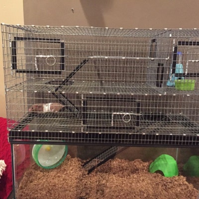 13 Wide X 30.5 Long X 15 Tall 20L Aquarium Tank Topper Cage Funhouse ...