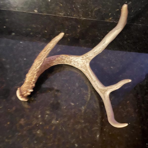 Bulk Deer Antlers Naturally Shed Real Whitetail Deer Antler Craft Grade ...