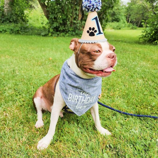 Boys Birthday Banner - Puppy Theme High Chair Banner - Boys 1st ...