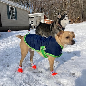 Finish Top Dog Booties set of 4 Sled Dog Snow Boots Iditarod - Etsy
