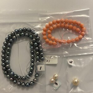 16.9x14.0mm Natural Deep Sea Angel Skin Color Coral Oval | Etsy