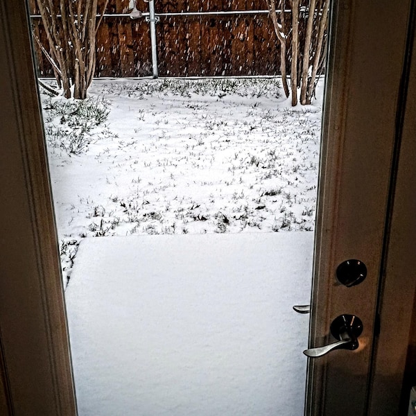 Tooth Suncatcher Sticker Window Decal | Teeth Artwork Wall Art Ornament ...