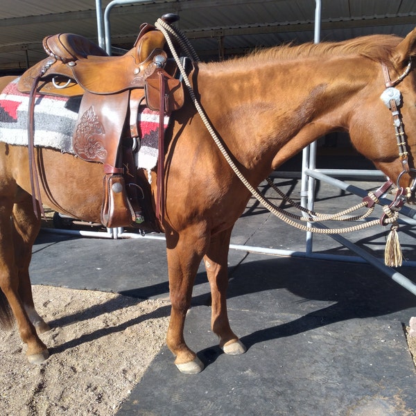 Yacht Rope Sport Mecate Reins W Poppers Use With Slobber Straps Snaffle ...